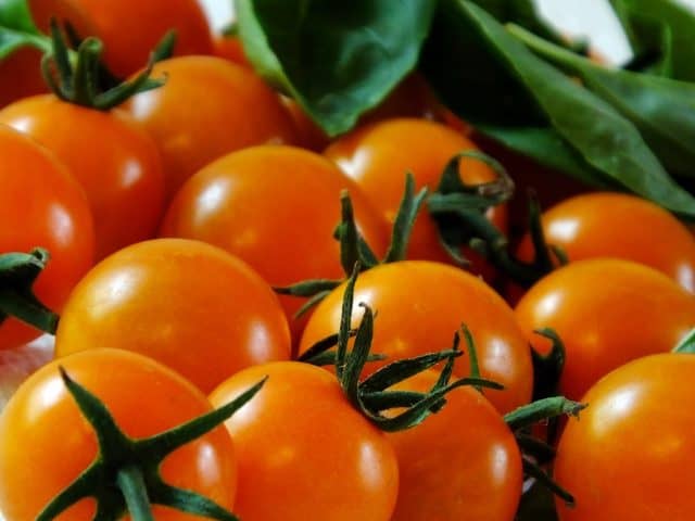 10 of the Best Tomatoes to Grow in Southern California