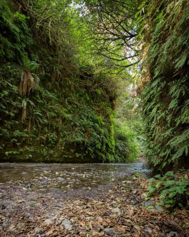 The 30 Best California State Parks You Need to Visit ASAP!