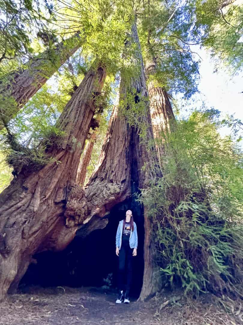 30 Great Day Trips from San Jose You Need to Take